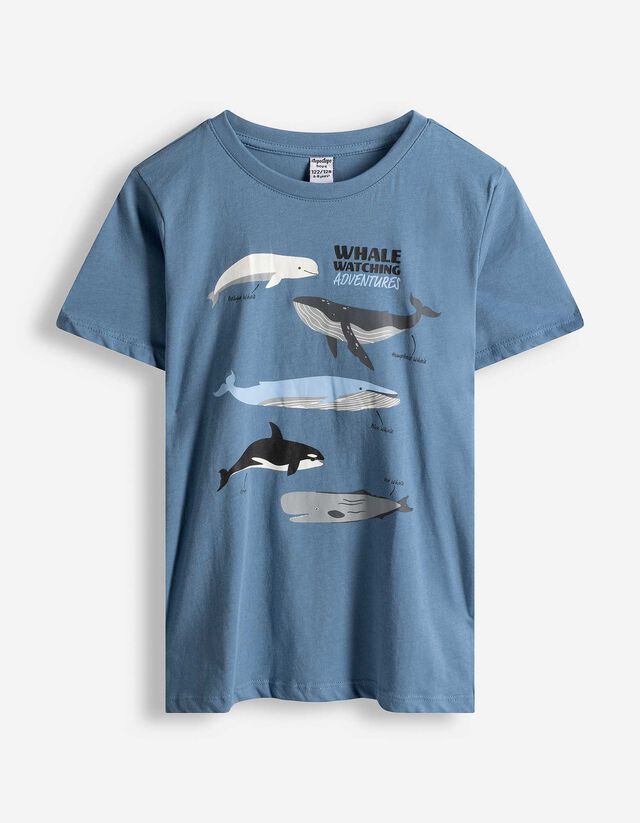 T-Shirt - Frontprint - blau - Takko Fashion