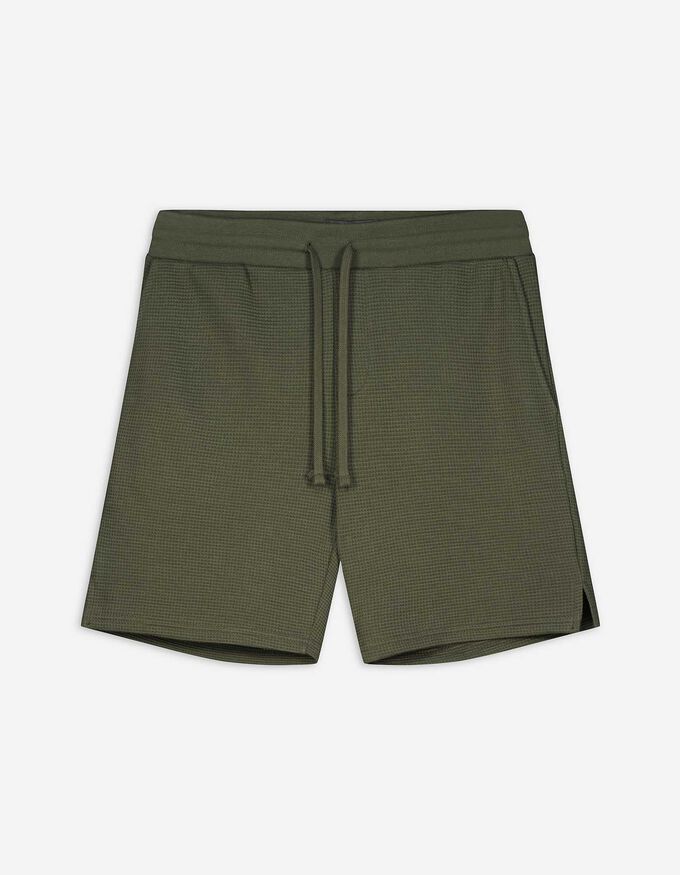 Short - Coupe Regular Fit - Vert foncé - Takko Fashion